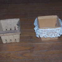 Blueberry Culture Photographs – Whitesbog Preservation Trust